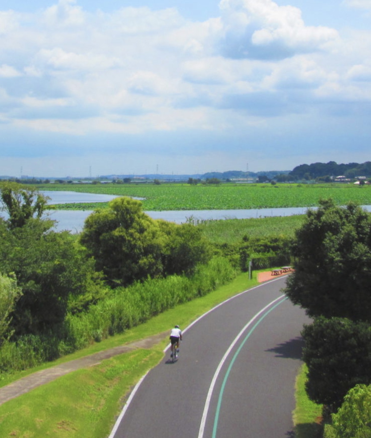 【手賀沼自然ふれあい緑道】柏・我孫子エリアのウォーキングスポット｜STUDIO-incho3 サウンドクリエーター 荒井智典 オフィシャルサイト